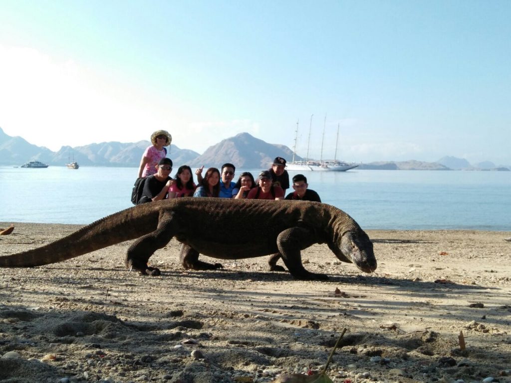 Daily Tour Komodo - Program tour sehari Wisata Pulau Komodo